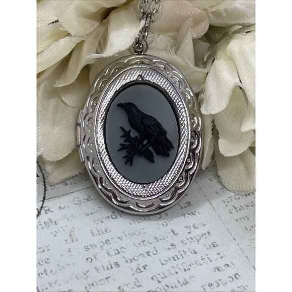 Fancy Fox Boutique | Jewelry | Silver Raven Black Gray Crow Locket ...